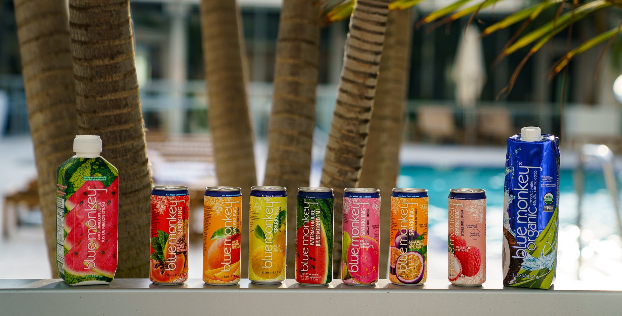 Blue Monkey | Sparkling Juices, Coconut/Plant Based Beverages – Blue ...